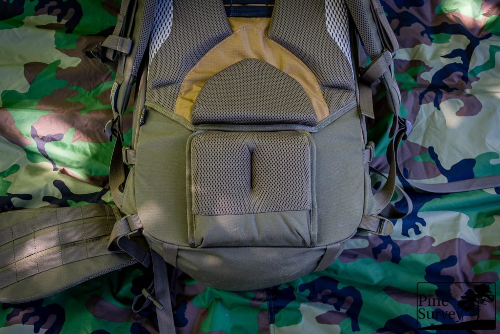 Review: Tasmanian Tiger Tac Pack 45 - Part 2 - Pine Survey