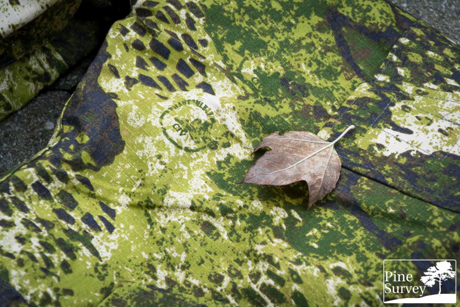 Field Test: PHANTOMLEAF WASP II Z3A - Pine Survey