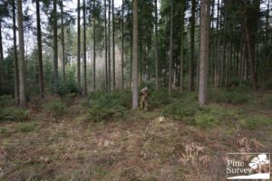 Field Test: PHANTOMLEAF Wasp II Z2 - Pine Survey