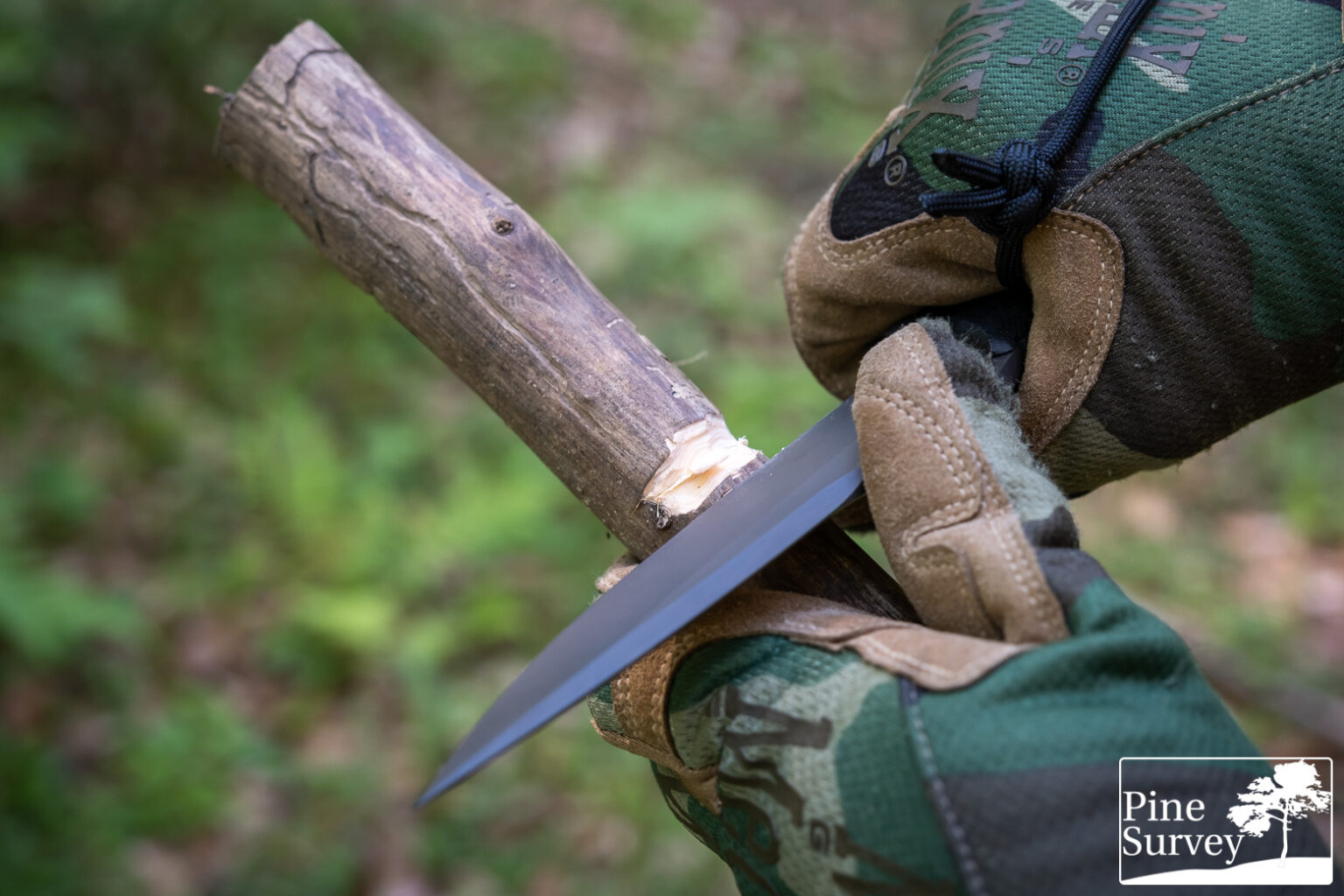 Review: Spartan Blades - Moros - Pine Survey