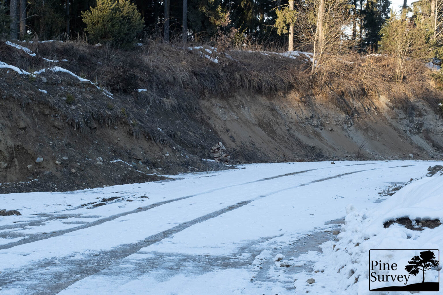 Desert Camouflage in Winter Time – French Daguet Camo - Pine Survey