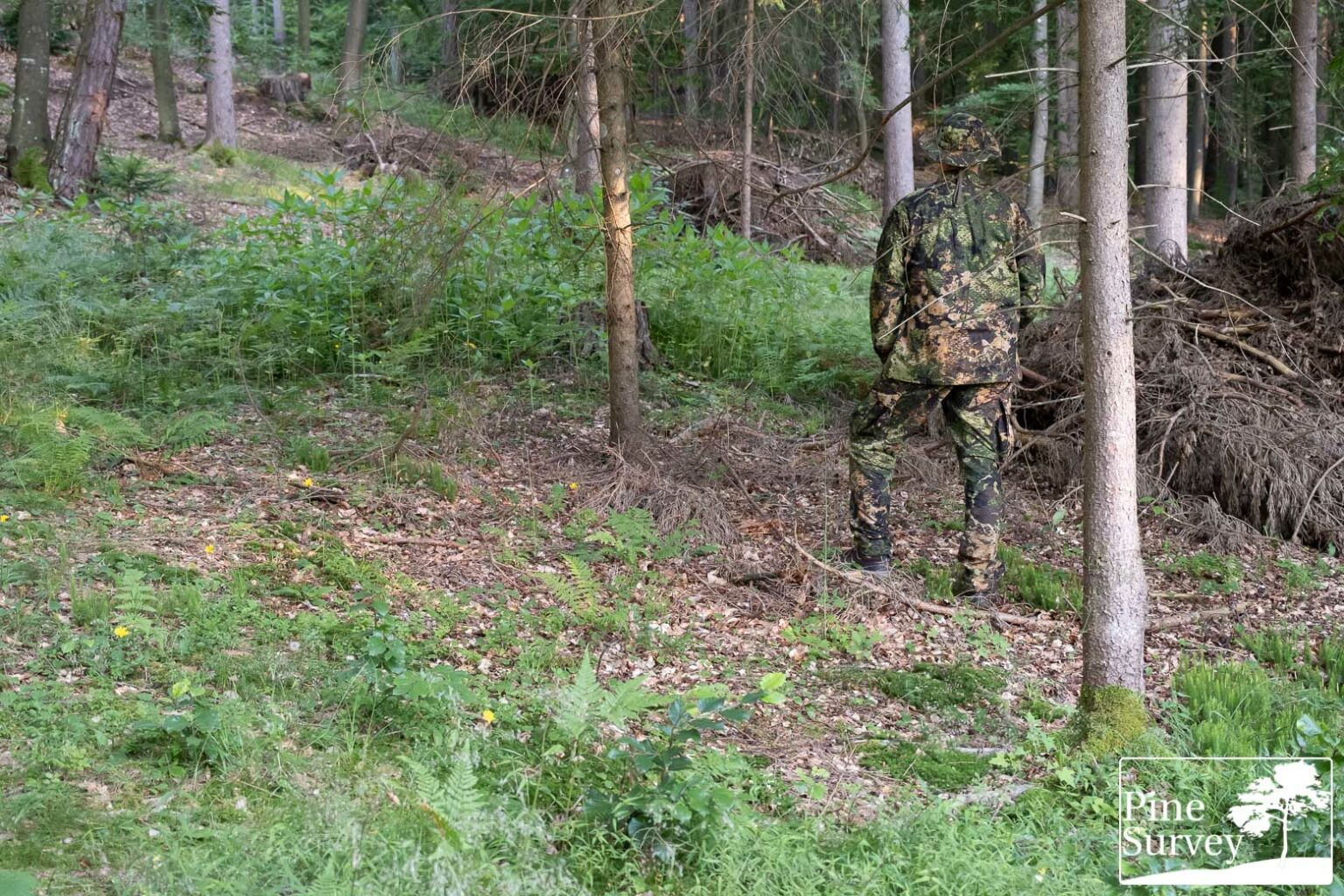 Camouflage test: Phantomleaf – WASP I Z3a in the field - Pine Survey